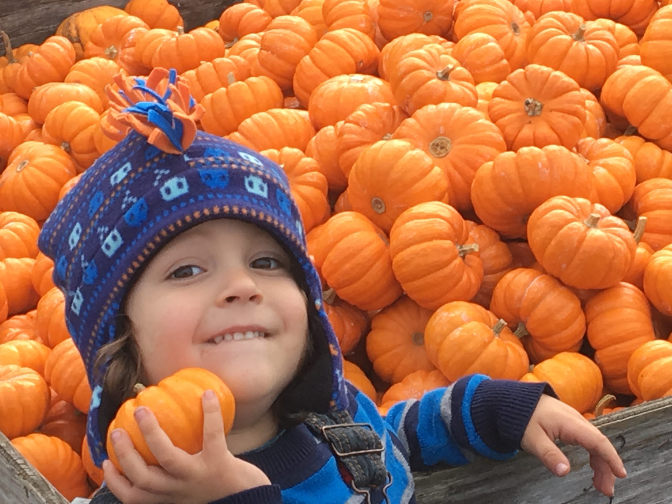 Packer Pumpkin Patch - Hours of fun activities. - Zoller's Outdoor Odysseys